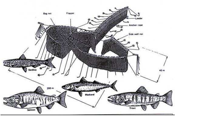 MACAM MACAM ALAT TANGKAP IKAN