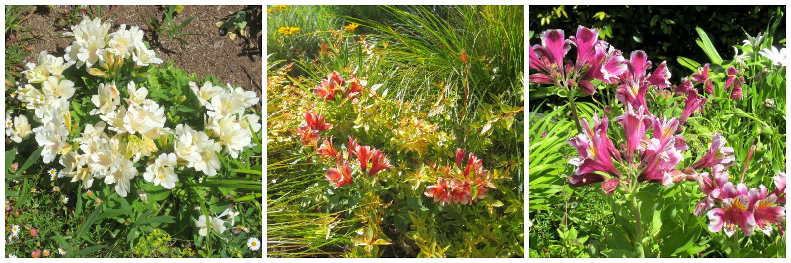 Late to the Garden Party: April 2017