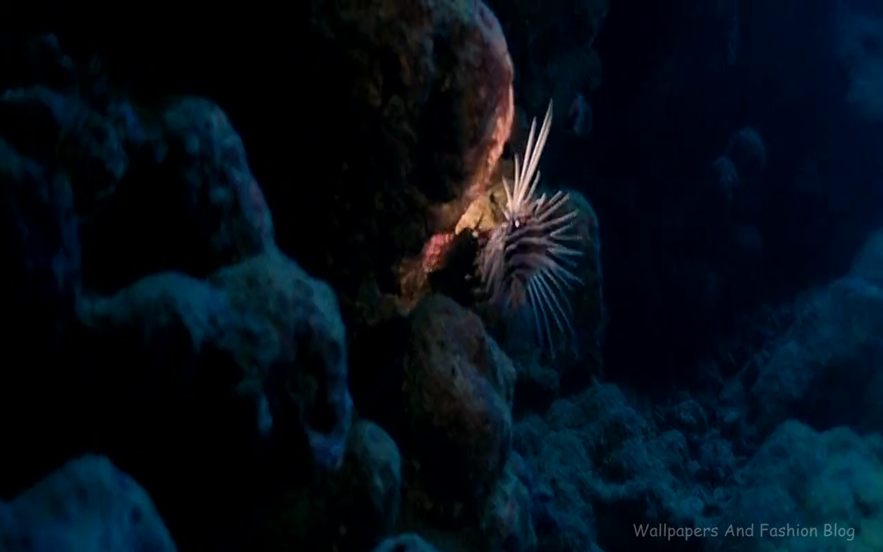 Wallpapers From Spain : Bollywood Movie " zindagi na milegi dobara ...