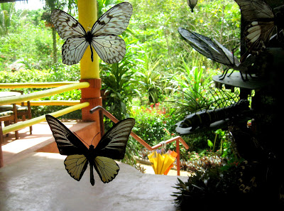 Turning Boholano: Simply Butterflies Conservation Center
