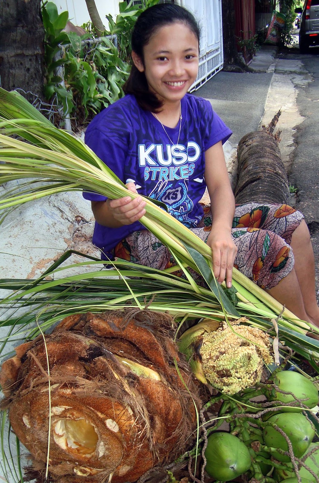 Living with Nature - School on Blog by Dr. Abercio V. Rotor: Harvesting ...