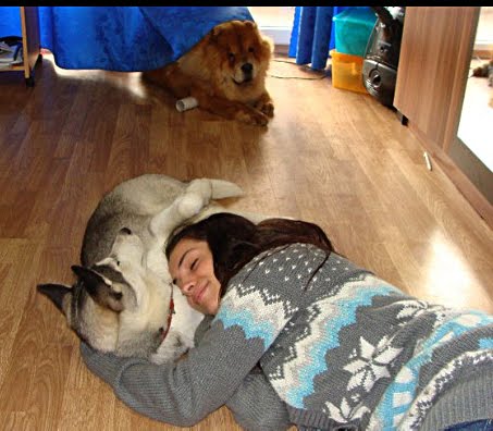 ROMEDICINE: Songshi-quan (the fluffy lion-dog)