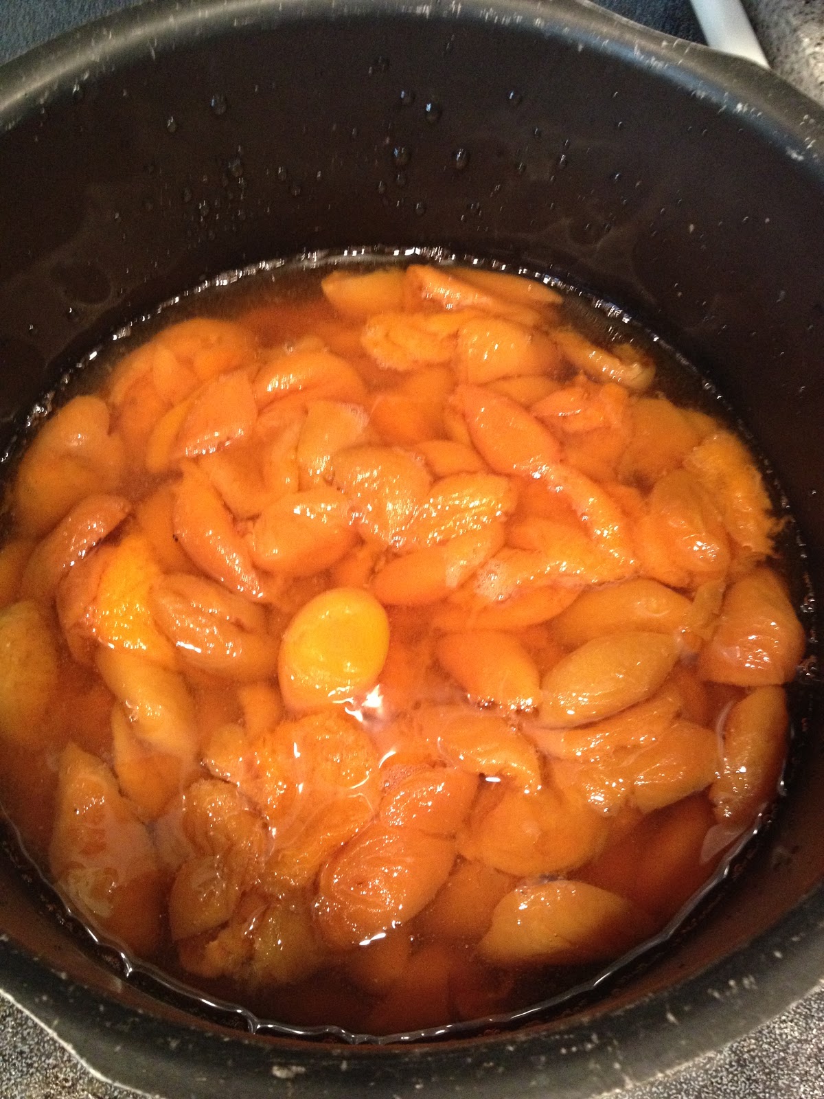 Redneck Soccer Mom: No process apricot jelly