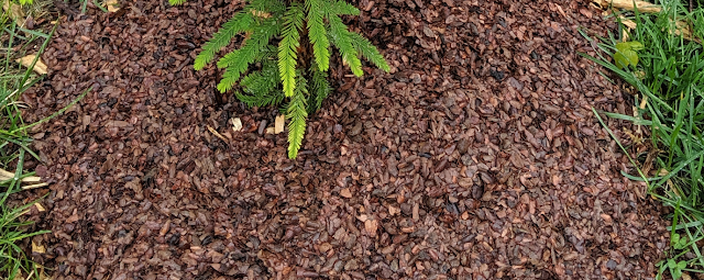Like the French Do: Cocoa Bean Hull Mulch