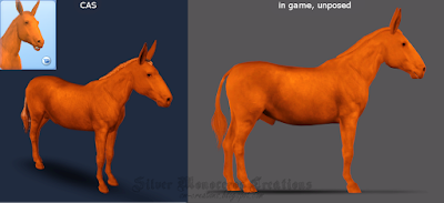 Equus CC-Database: Donkey Template