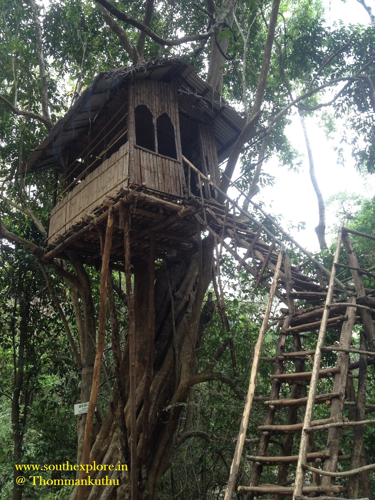 THOMMANKUTHU FALLS -THODUPUZHA-IDUKKI-KERALA ~ SOUTH INDIA TOURISM