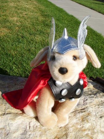 The Crafty Cattery: Thor Puppy