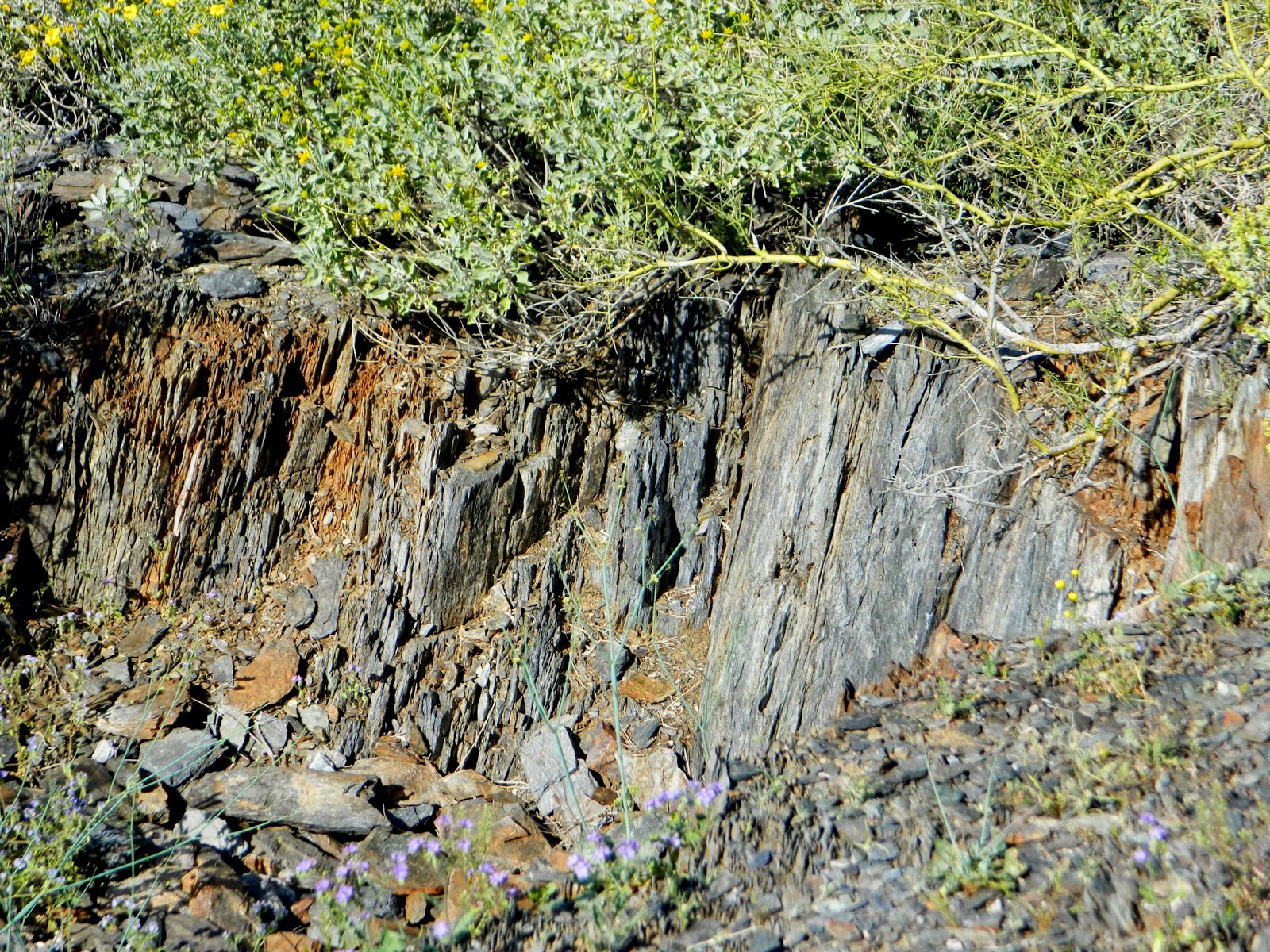 CSMS GEOLOGY POST: THE DESERT AND PRECAMBRIAN ROCKS; CAVE CREEK