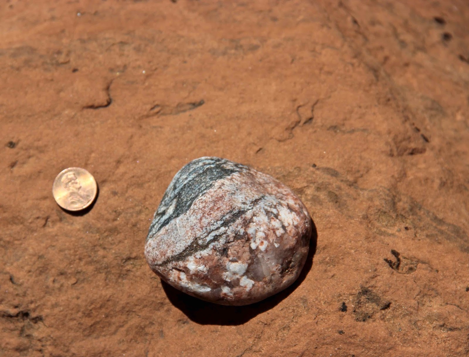 In the Company of Plants and Rocks: Beautiful Stones & Battered Relics