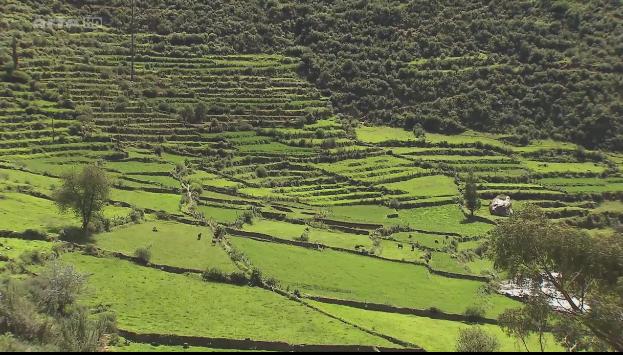 Reportaje: Perú, la agricultura en los andenes - Agora Vox Perú