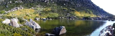 Di's Walk a Month: 21 Apr 2013 - Tarn Shelf, Mt Field