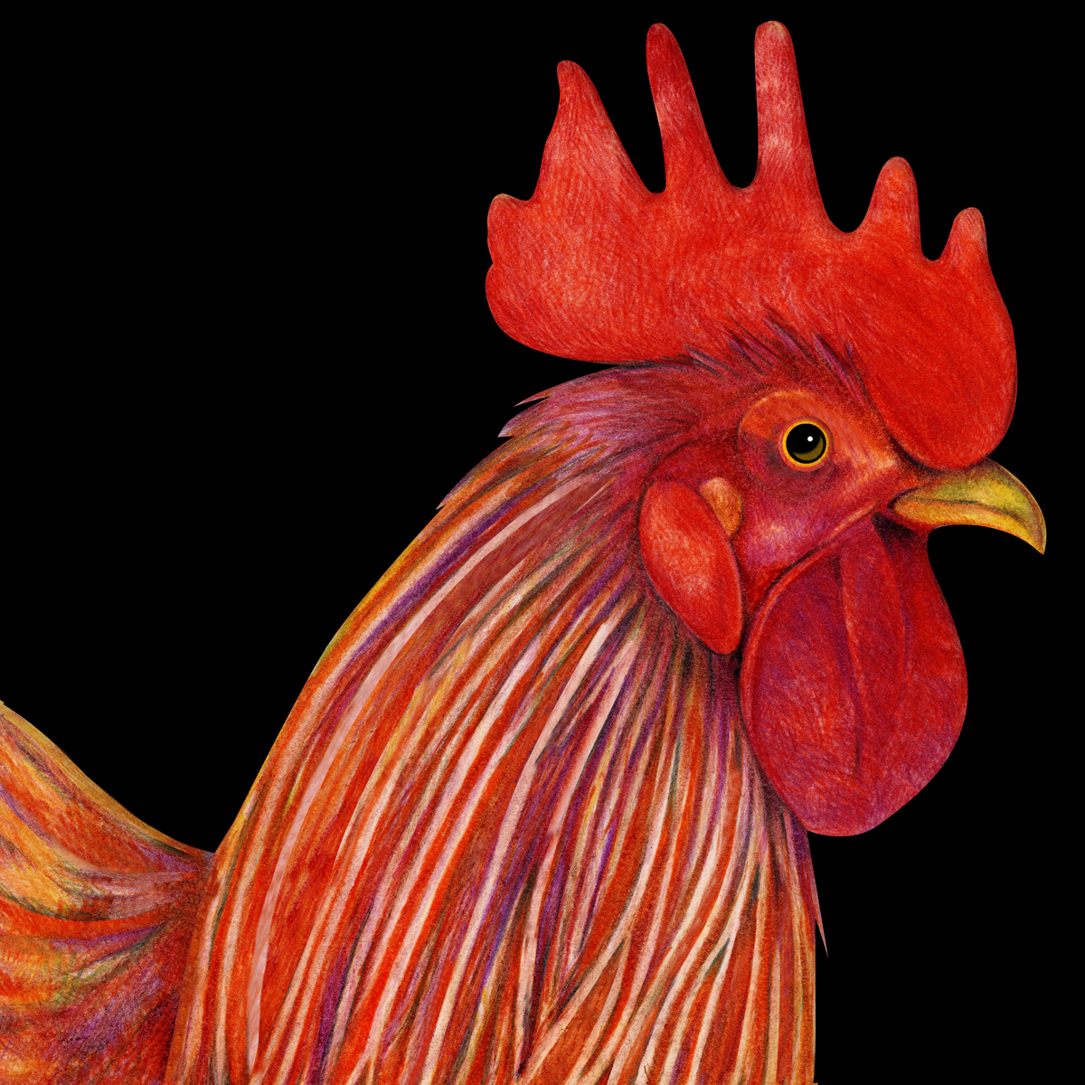 Guthrie Design: Rooster Tiles