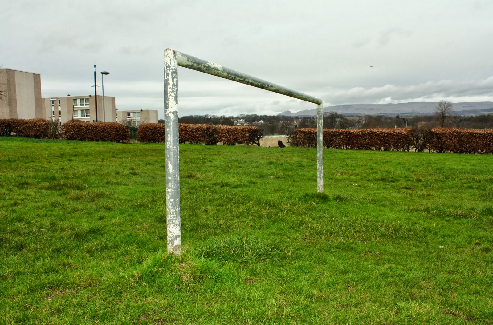 Glasgow Punter: Jumpers for goalposts?