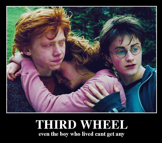 IT'S NOT EASY BEING THE 3RD WHEEL (20 Pics)