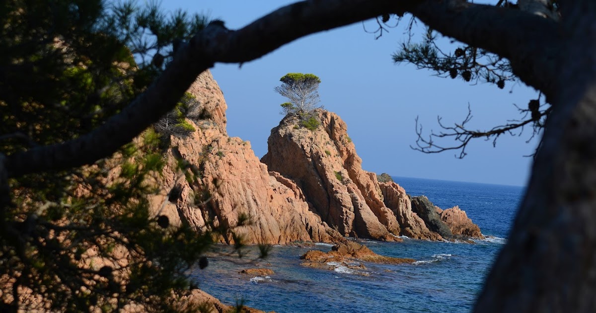 Barcelona Photoblog: Top Tips for Exploring Barcelona’s Natural World