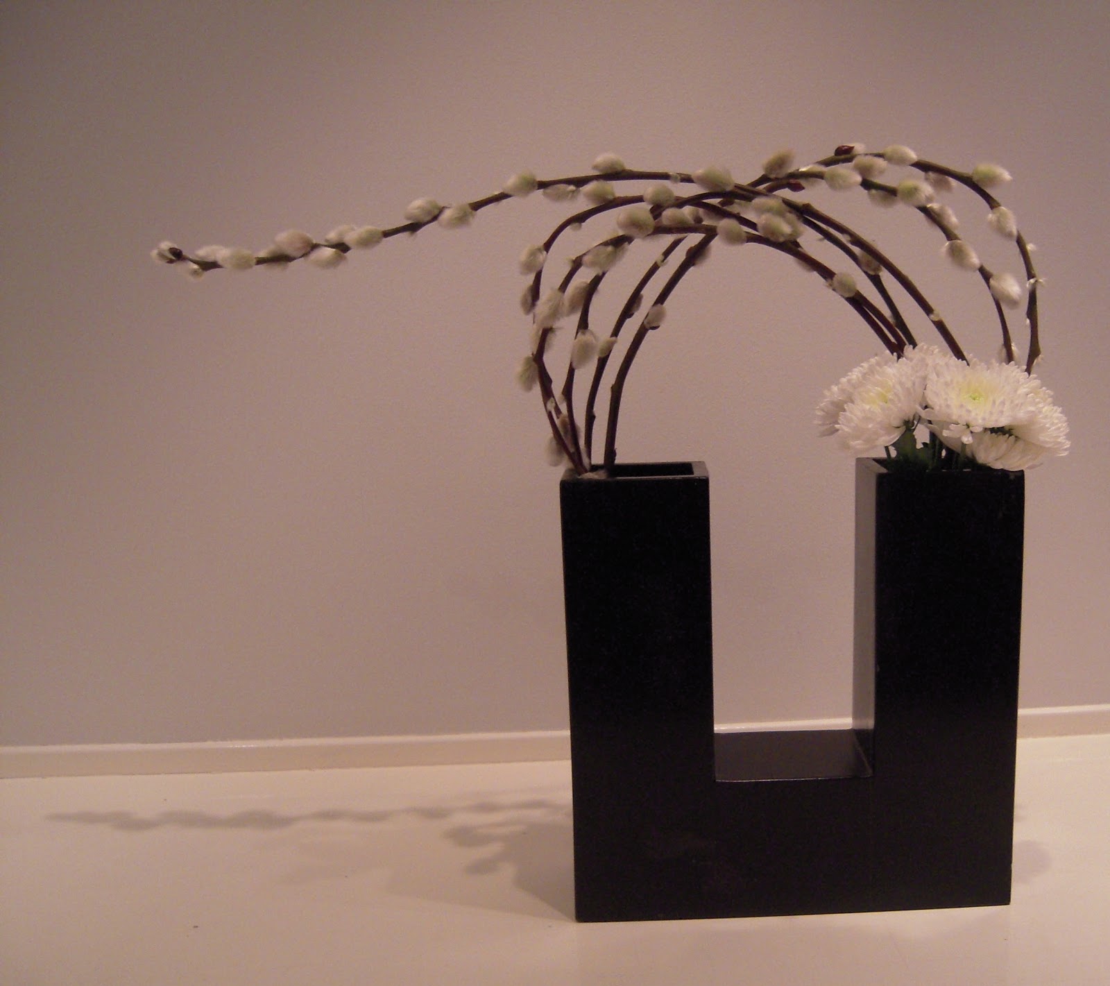 Cica-mace i hrizanteme