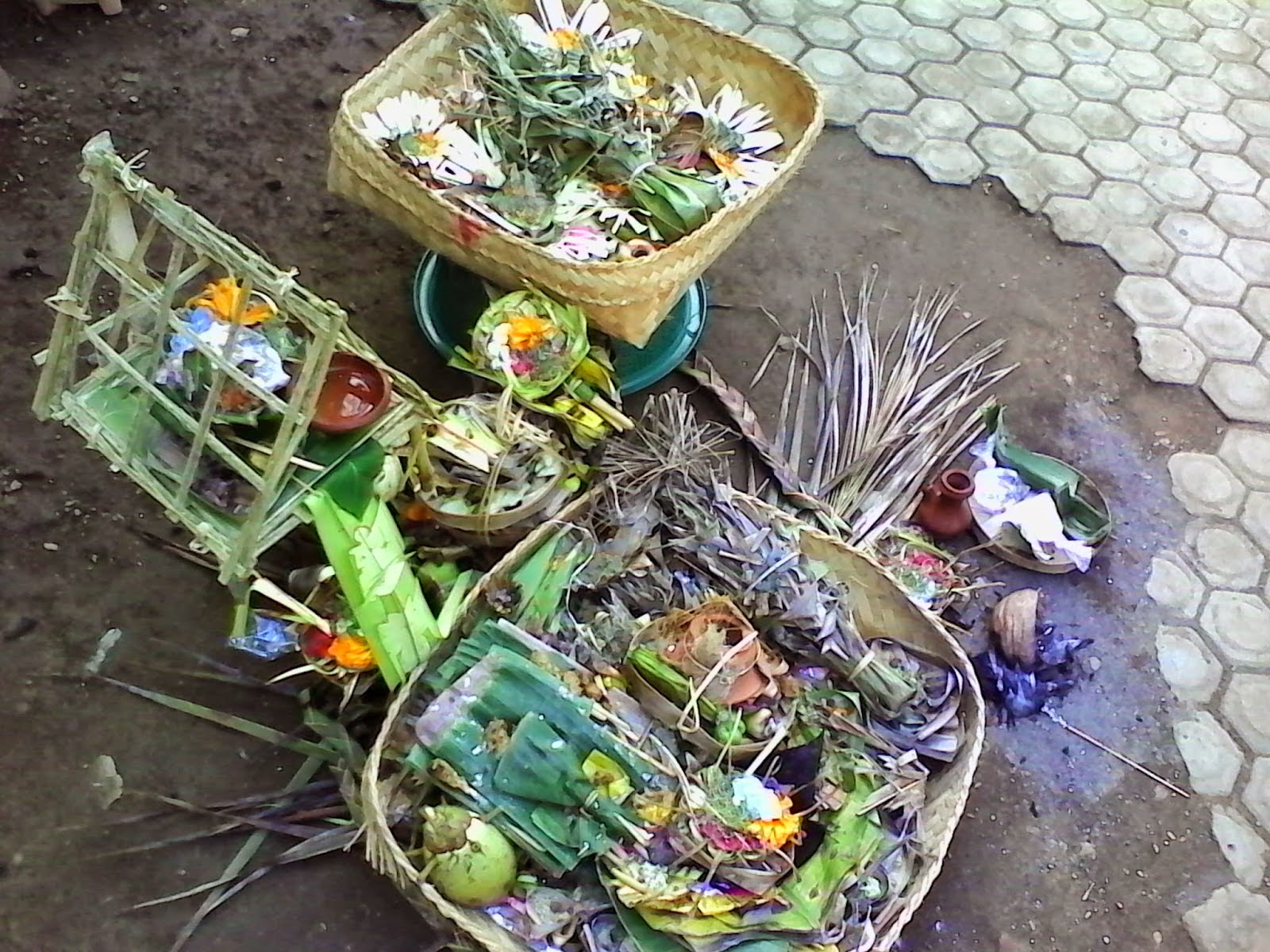 MENGENAL DAN MEMAHAMI TETANDINGAN BANTEN CARU AYAM BRUMBUN (EKA SATA)