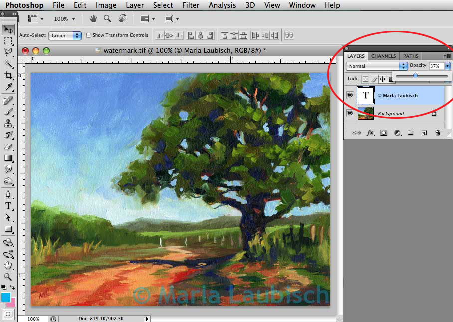 Making a watermark on your paintings