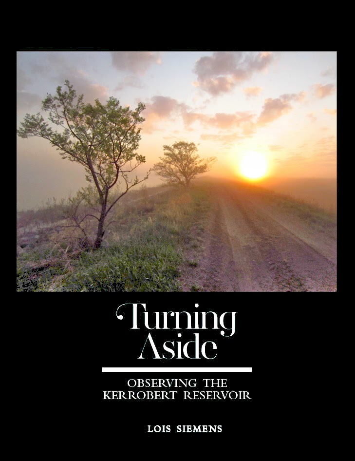 EcoFriendly Sask: Turning Aside: Observing the Kerrobert Reservoir