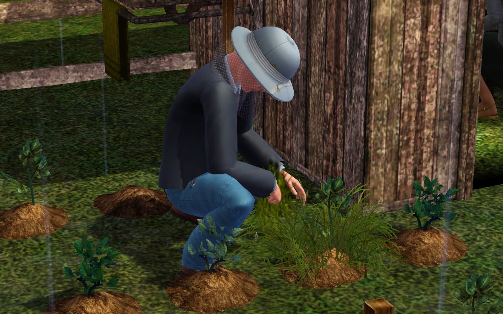 Schmidt Island: Chapter 2 - Survival