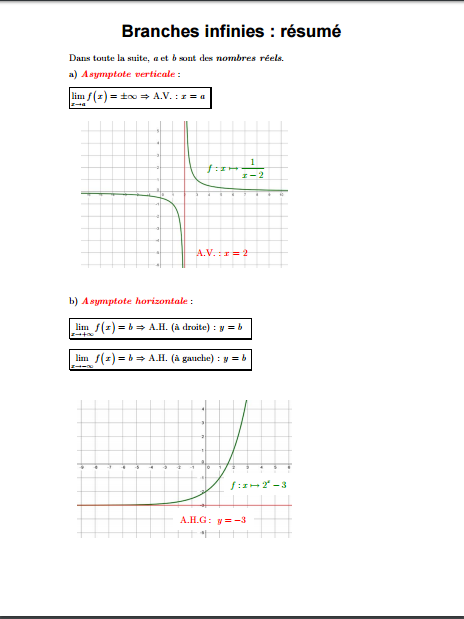 Branches infinies : résumé - New Encéclopédie