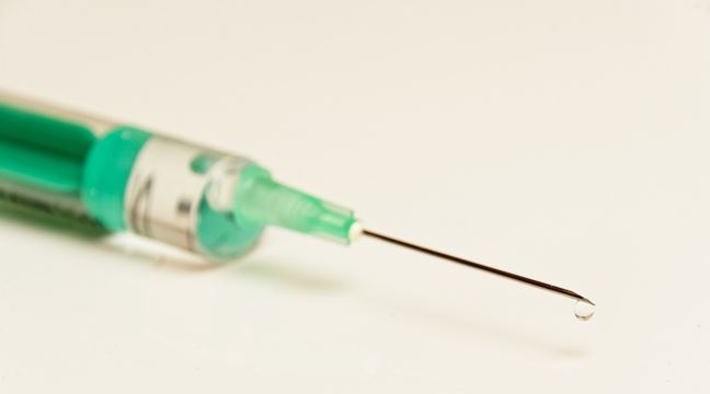 Biologi, fysik, kemi, teknik år 7, 8 och 9: Biologi år 8