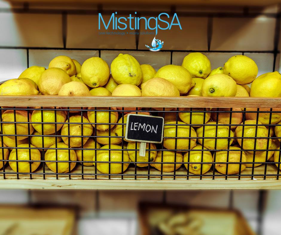 Misting SA: RH Cold Storage