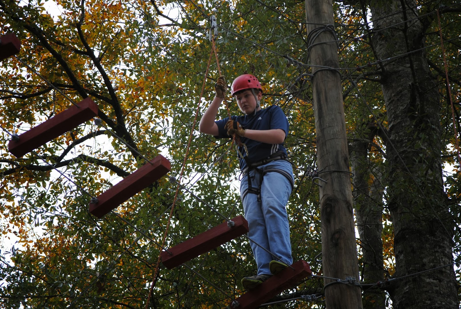 Bar-T Adventures: High Ropes Course