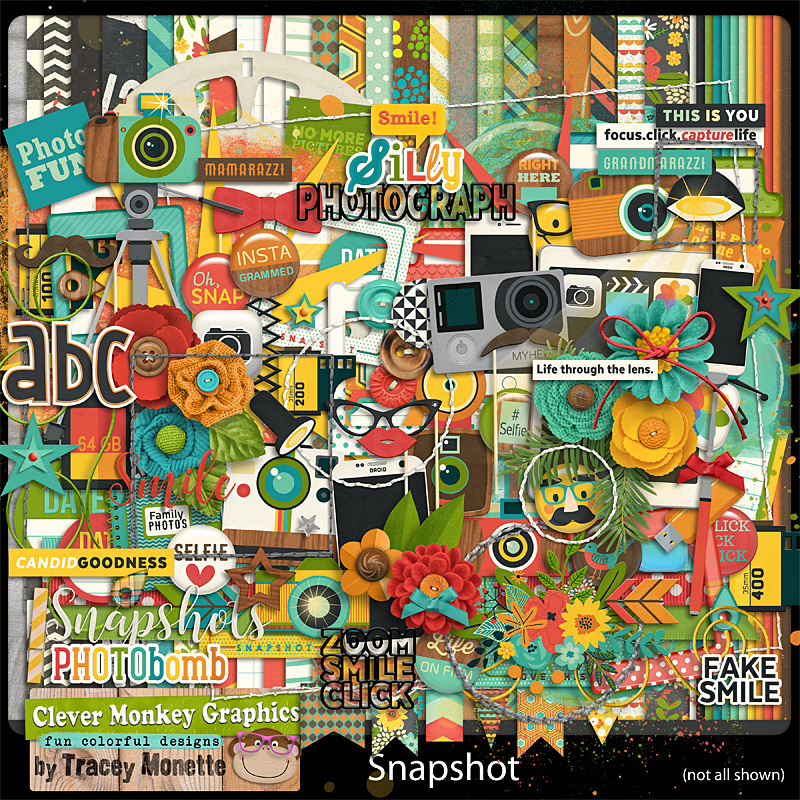 Newest Releases: Snapshot, Slides & Snapshot Journal Cards | Clever ...