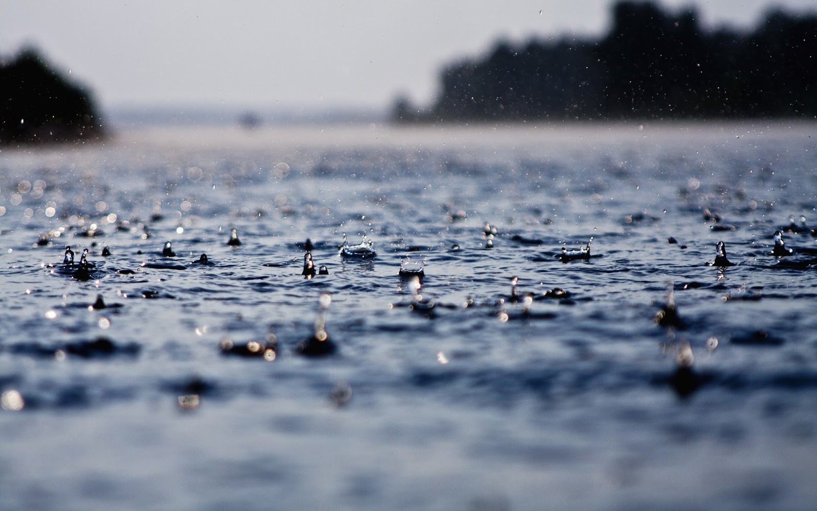 10 Fresh Wallpapers HD After Rain for Wonderful Background ~ HD ...