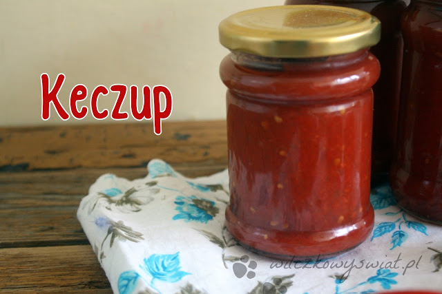 Keczup domowy | Wilczkowy Świat