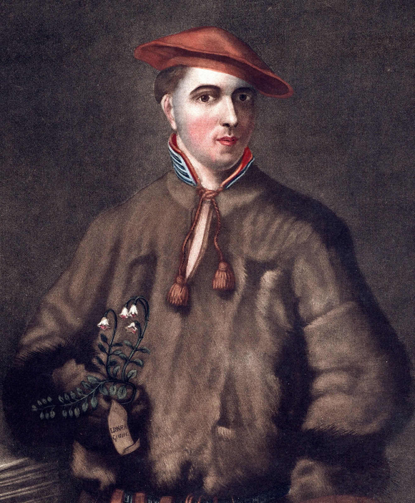 The Portrait Gallery: Linnæus