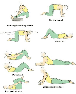 Back Exercises: How To Maintain A Healthy Back With Gentle Back Exercises