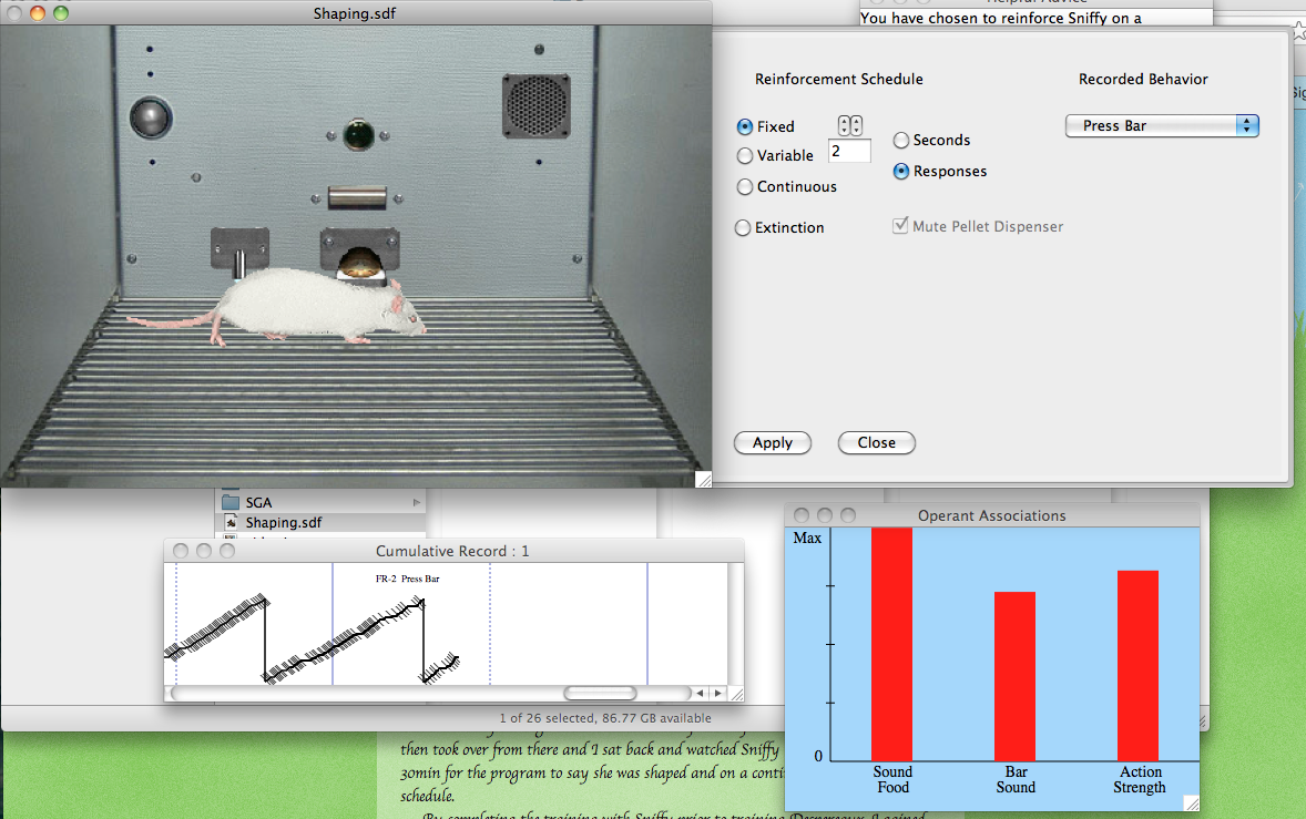 The Tails of Despereaux: Sniffy- Magazine Training and Shaping