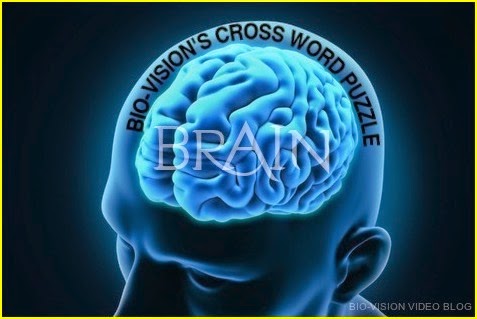 BRAIN CROSS WORD PUZZLE | BIOLOGY CROSS WORD PUZZLE