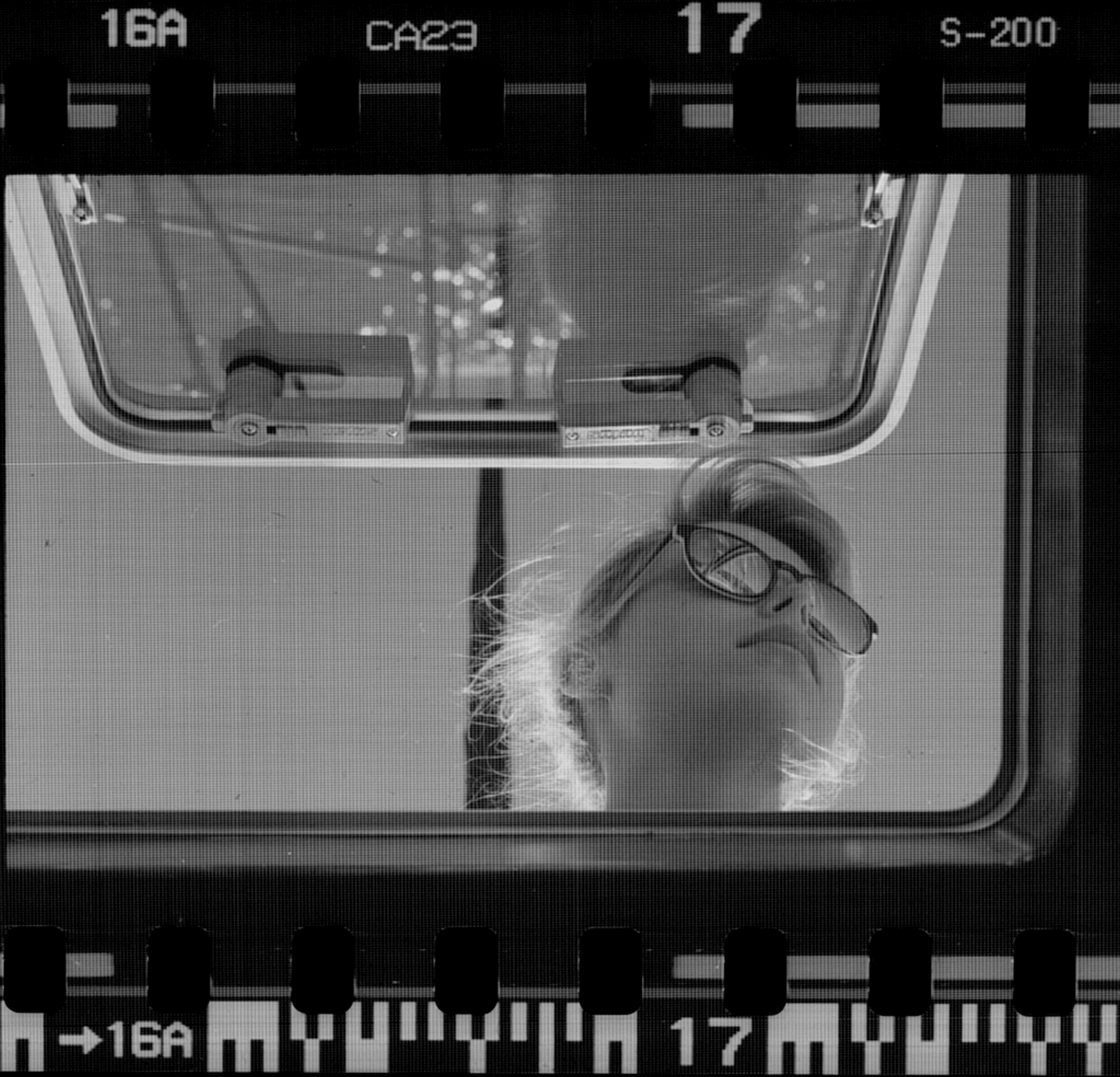 Towarzystwo Nieustraszonych Soczewek: Adam Buczek - profil fotograficzny