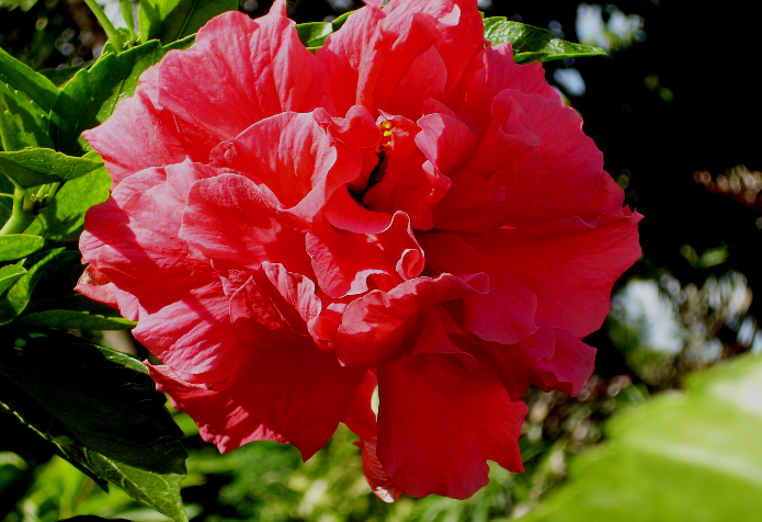 Premières expériences: Me voici