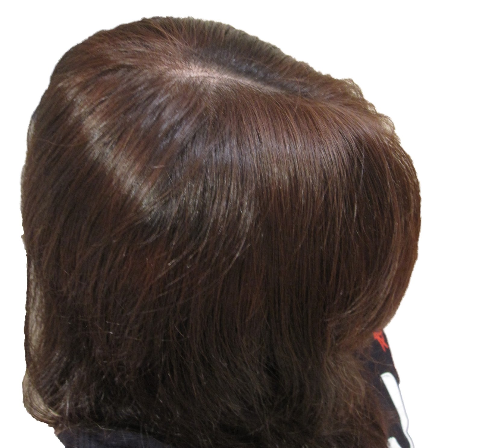 Everlastinghail: Palty Jewelry Ash Hair Dye Review