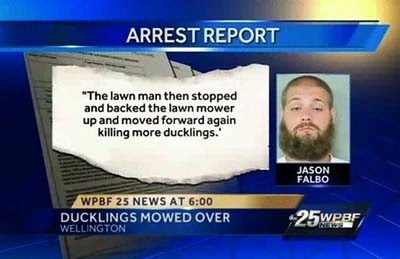 Four legged friends (and enemies): Jason Falbo pleads guilty to ...