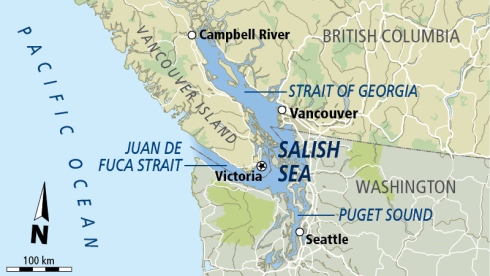 Speed of Life: Cross Currents: Don't Forget the Water - Salish Sea