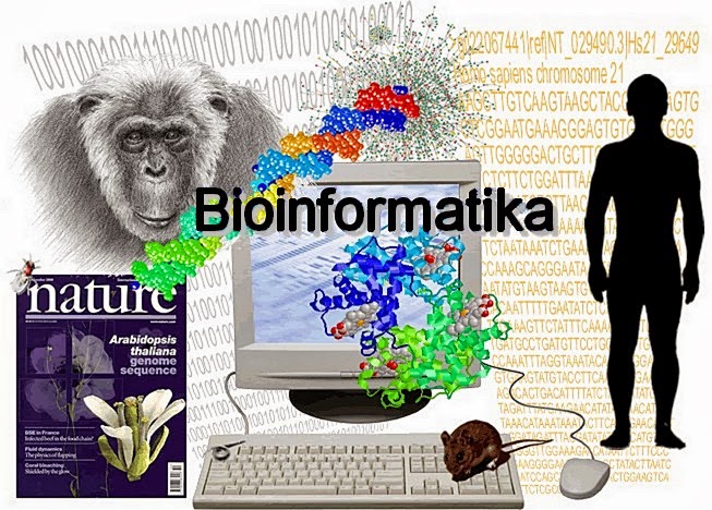 Yonathan's Get Blog: Bioinformatika