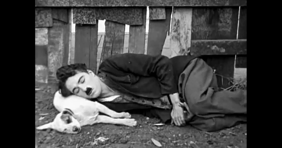 Pit Nutter Circus: Pitty Scenes from the Silver Screen