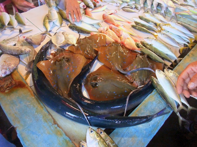 Baby Stingray (Pagi) in Catbalogan