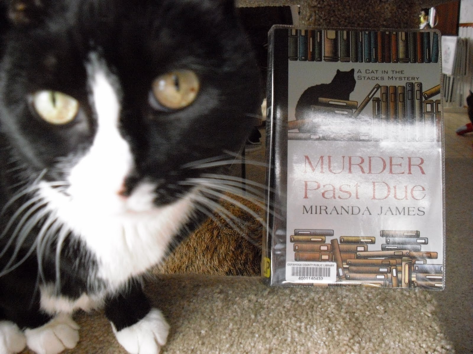 Grab A Book From Our Stack: "Murder Past Due" by Miranda James