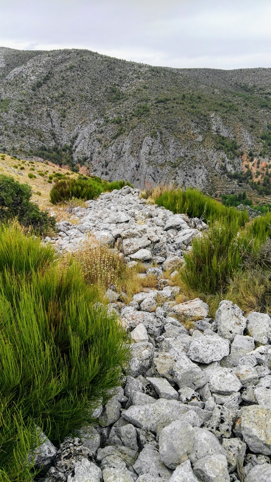 Nerpio: El poblado íbero del cerro del Macalón ~ 40 rutas