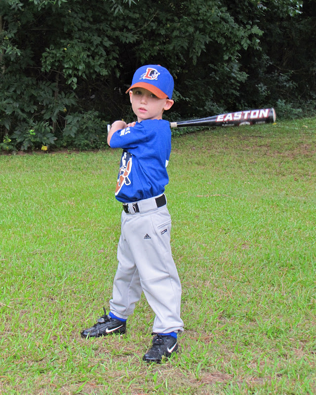 The Sloan Chronicles