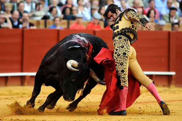 ¿A los toros les gusta el color rojo? - Adelantando el Mundo