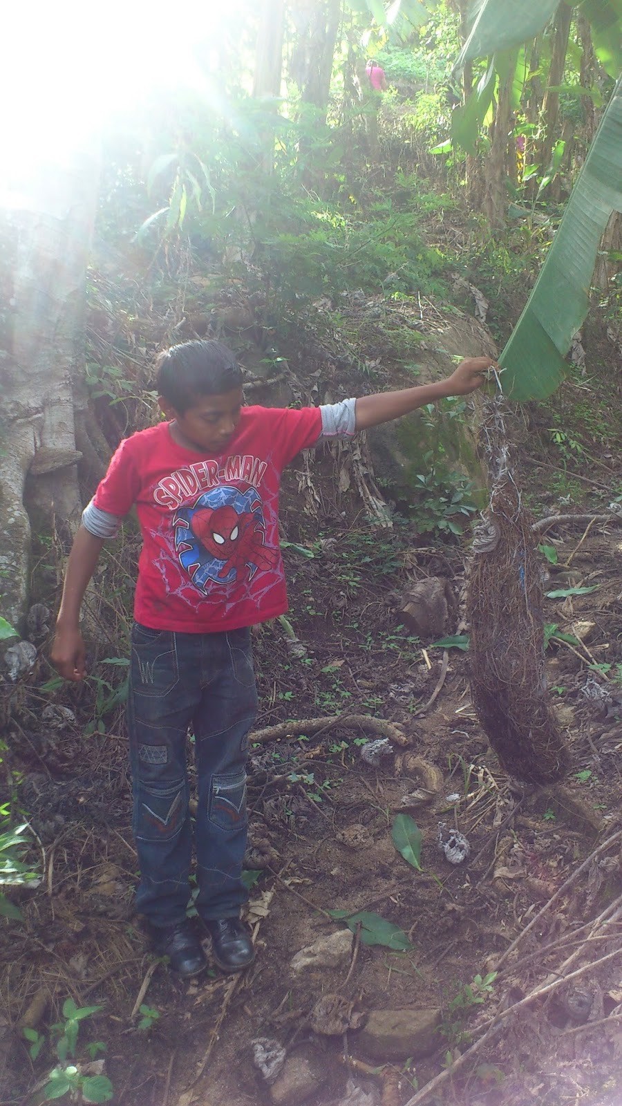 Diario de un naturalista aficionado: 5 de julio:Por las montañas de Las ...