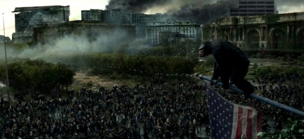 SIMIO NO MATA SIMIO | BLOG DE FRANCESC PUIGCARBÓ