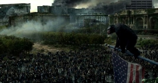 SIMIO NO MATA SIMIO | BLOG DE FRANCESC PUIGCARBÓ